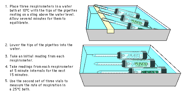 respirometer lab